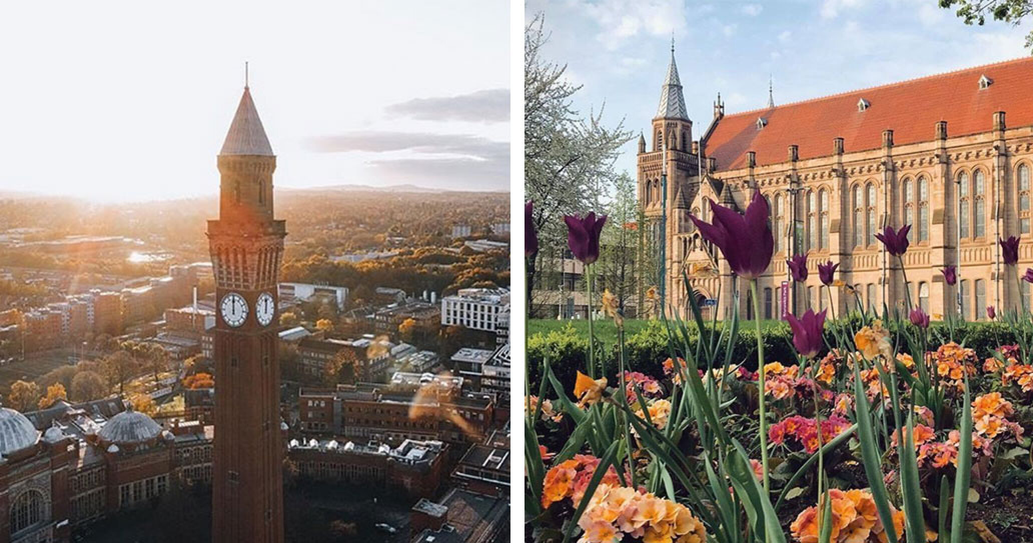 These Are The UK Universities With The Highest Earning Graduates these-are-the-uk-universities-with-the-highest-earning-graduates