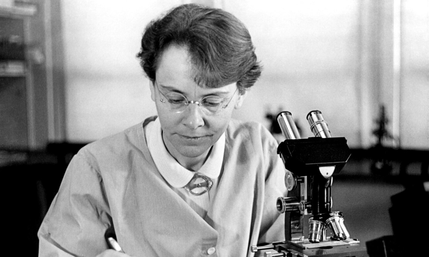 5 STEM women who changed the world - GradTouch